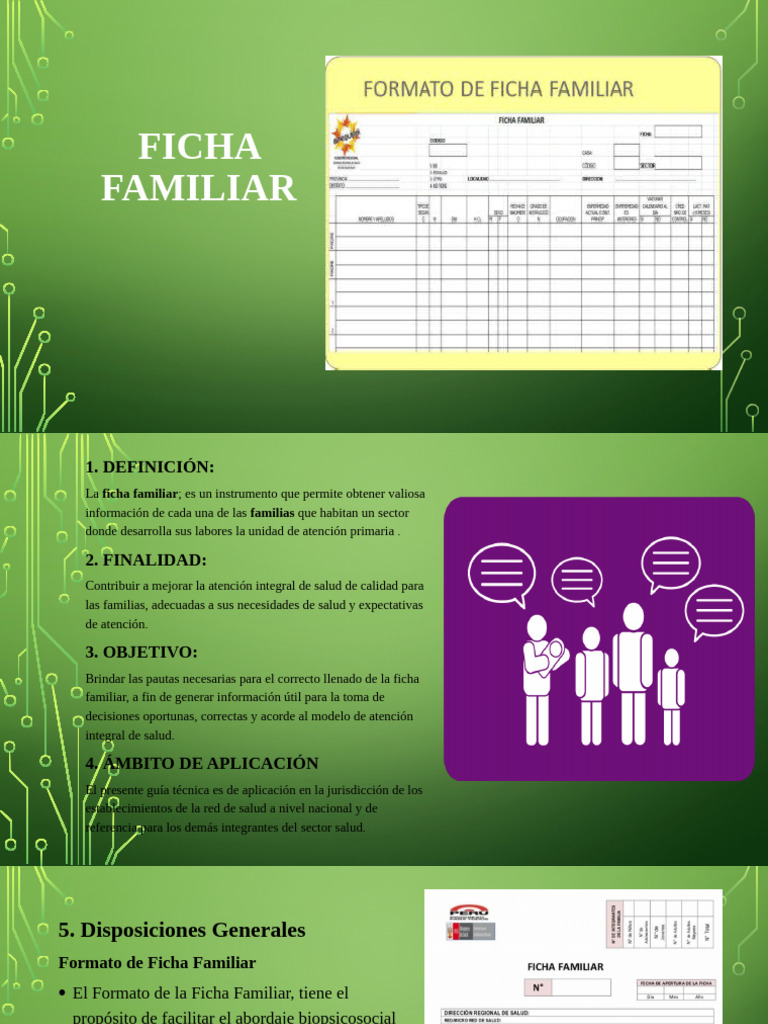 Ficha Familiar Instrumento | PDF