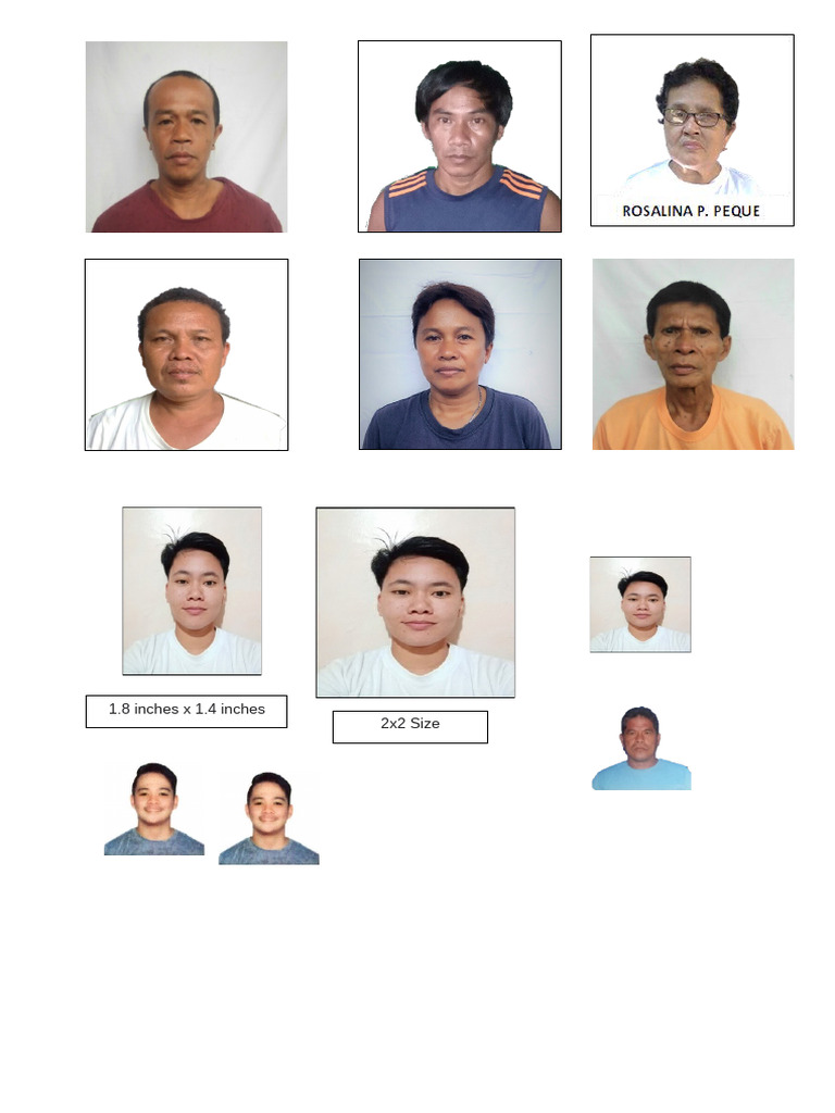 ID's Sample Sizes | PDF