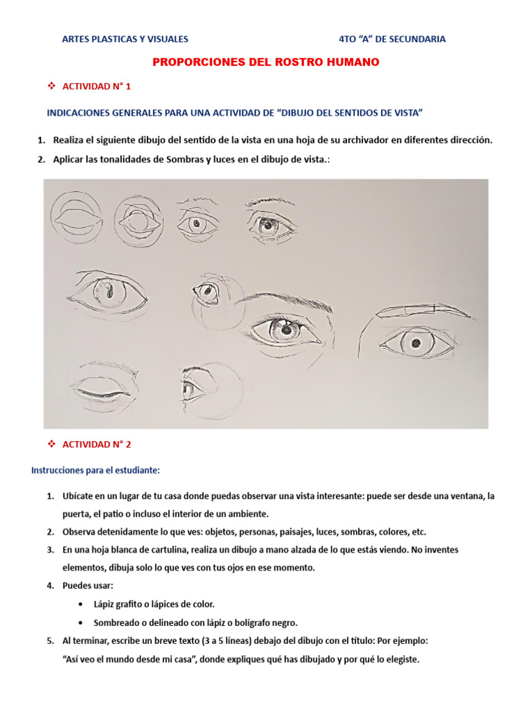 Proporciones Del Rostro Humano Pdf