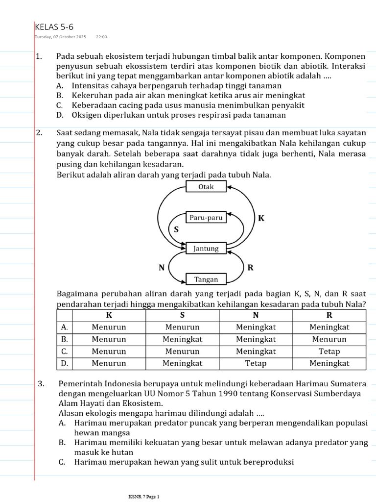 56 - Final KSNR 5-6 | PDF