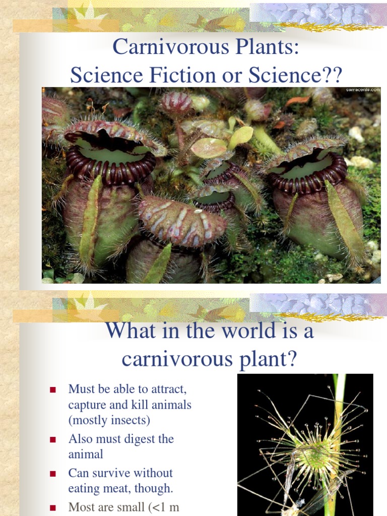 Carnivorous Plants PPT Les 3 | PDF | Biology | Organisms