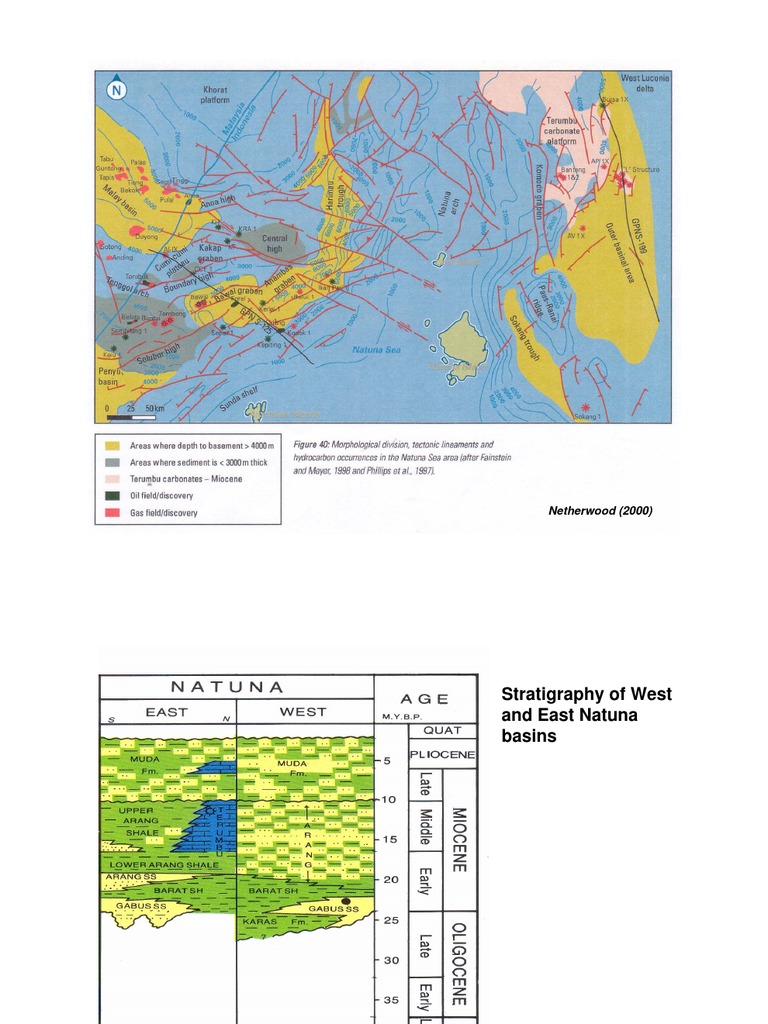 Natuna Petroleum Geology | PDF | Rift | Geology