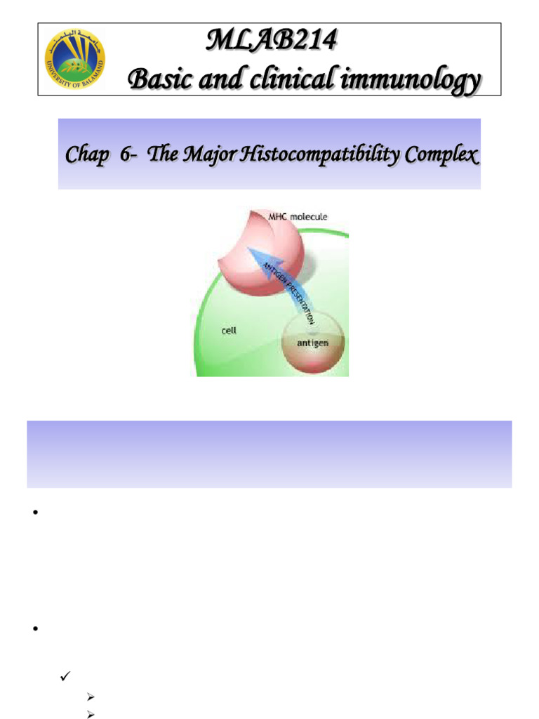 Chap 5a - The - Major - Histocompatibility - Complex | PDF | Major ...