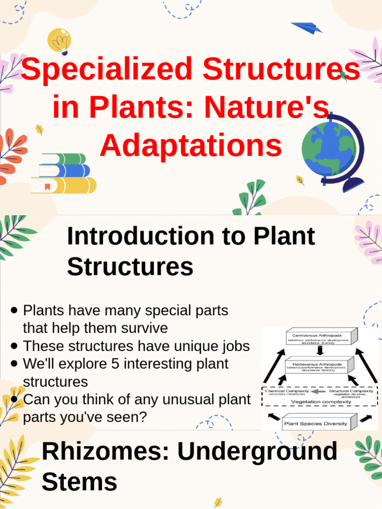 Specialized Plant Structures Explained | PDF | Trees | Plants