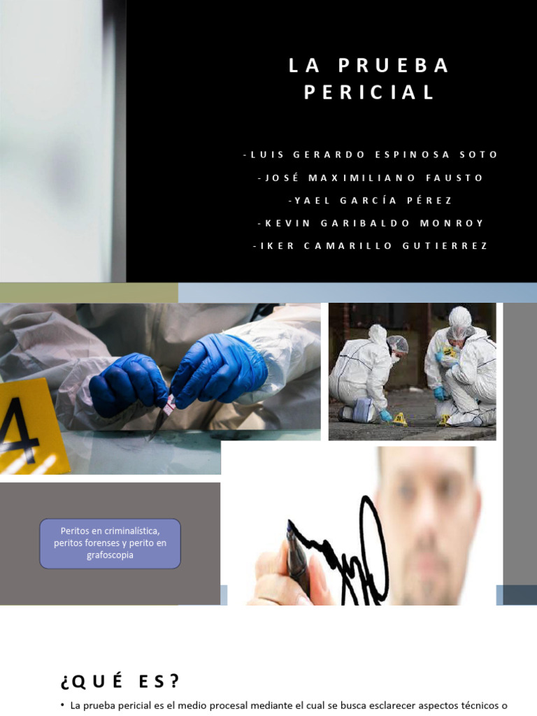 La Prueba Pericial | PDF | Testigo experto | Experto