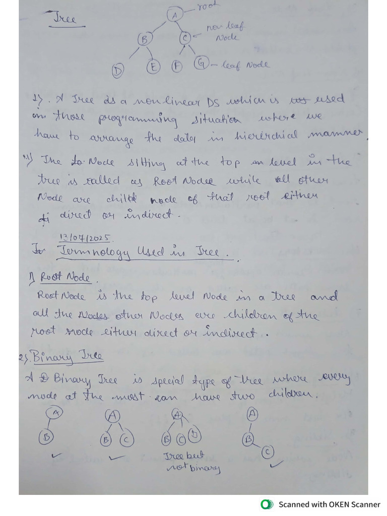 Tree | PDF