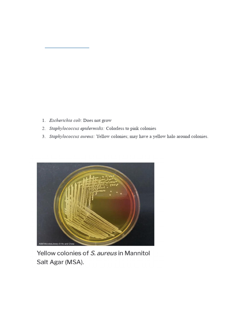 Mannitol Salt Agar: Isolation of Staphylococcus | PDF