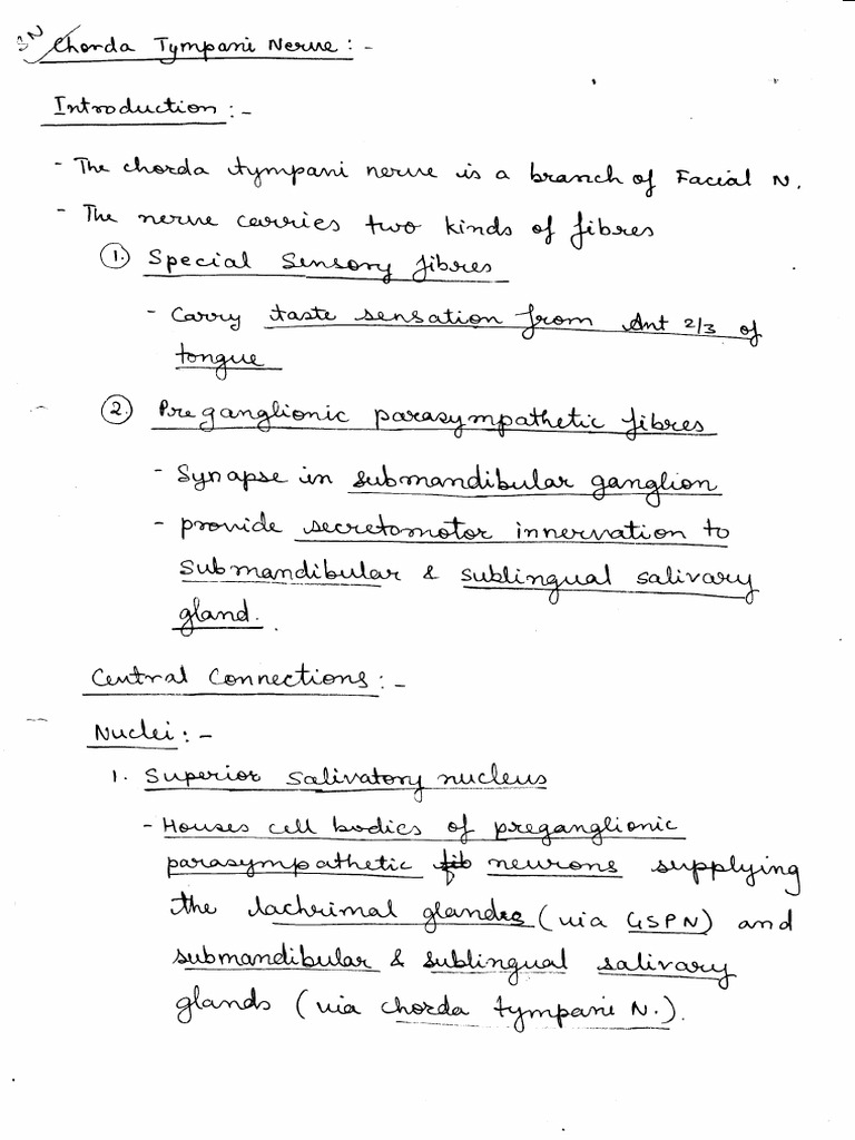 Chorda Tympani Nerve | PDF