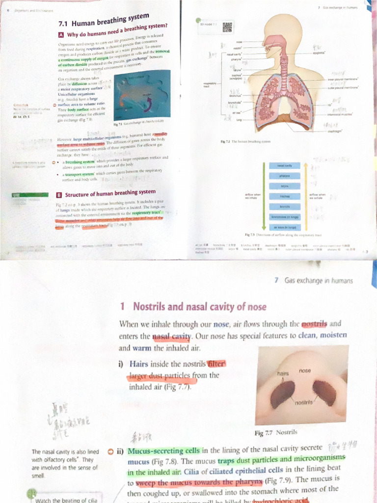 Biology Textbook ch7 | PDF