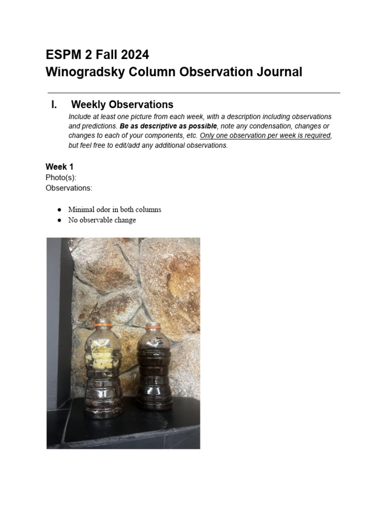 Winogradsky Column Observation Journal-1 | PDF