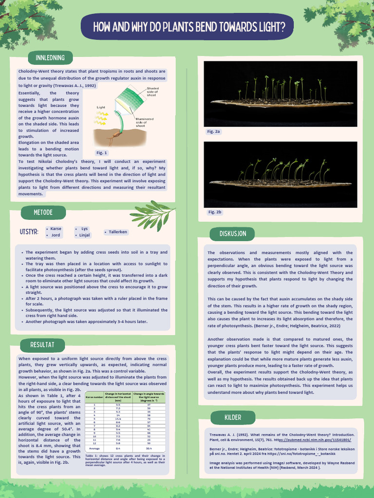 How and Why Do Plants Bend Towards Light by Ahmet Asim | PDF | Light ...
