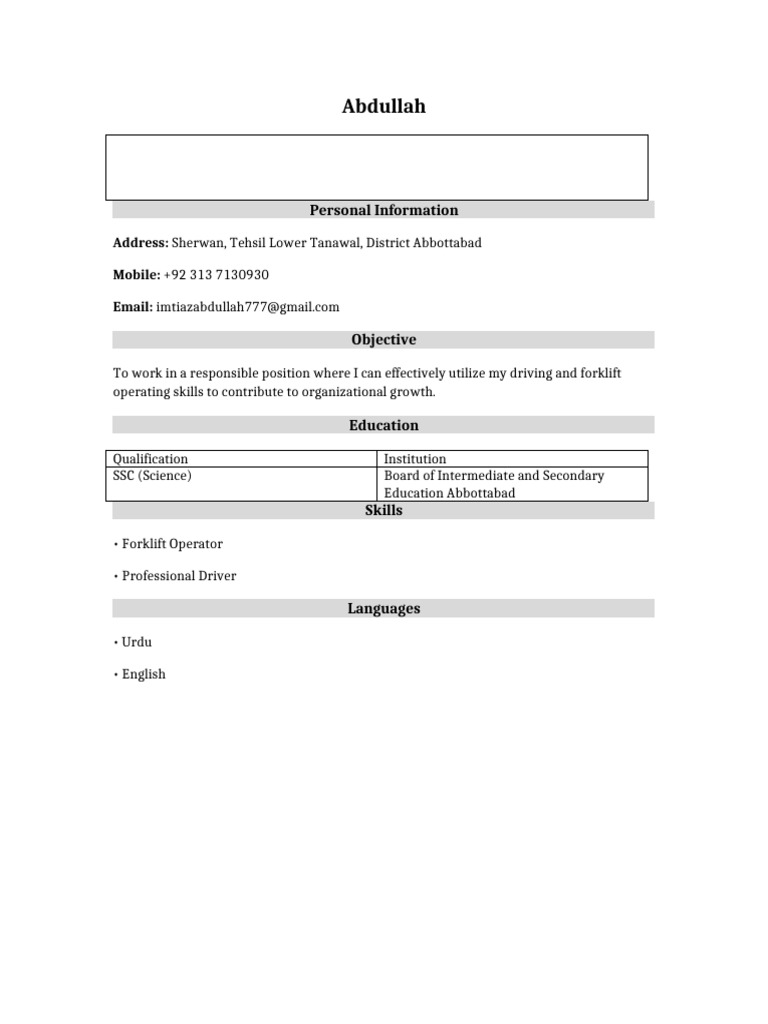 Abdullah Professional Bordered CV | PDF