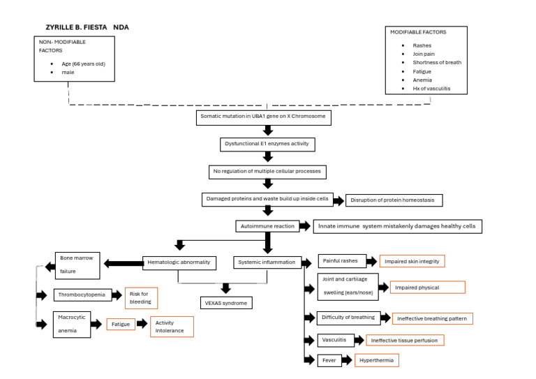ZYRILLE PATHO-pinakafinal | PDF | Immune System | Anemia