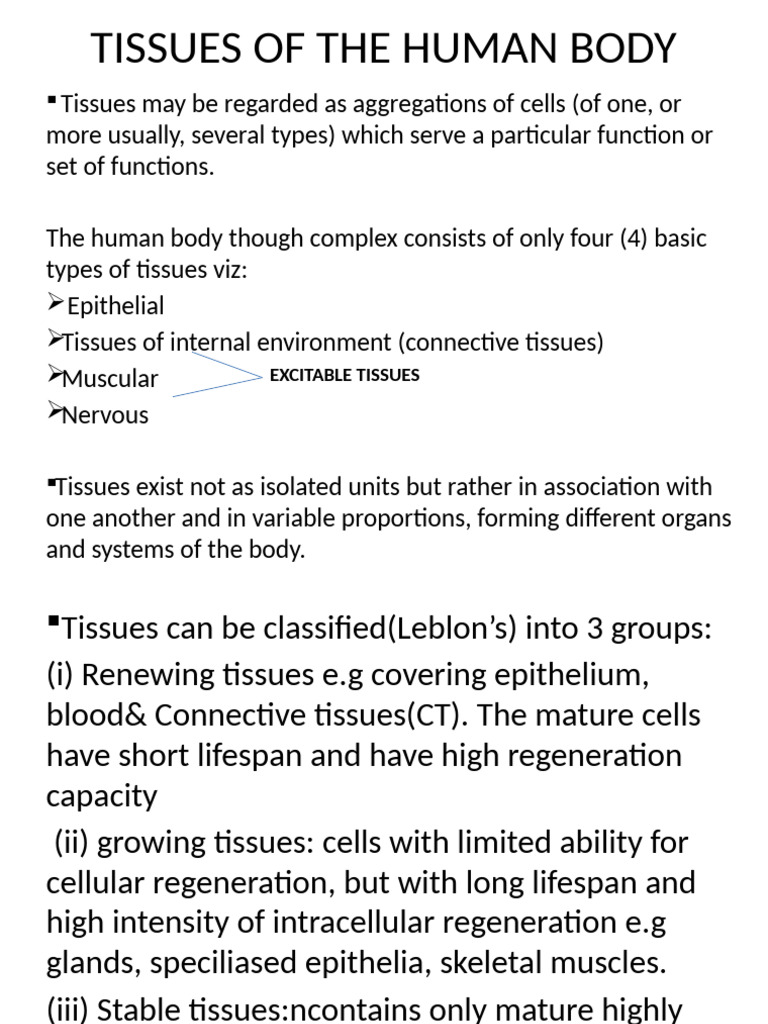 Tissues of The Human Body | PDF | Epithelium | Tissue (Biology)