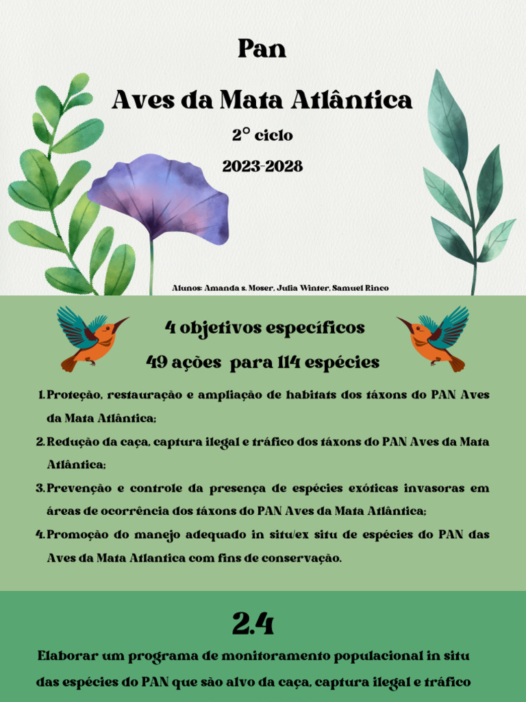 Pan Aves da Mata Atlântica | PDF
