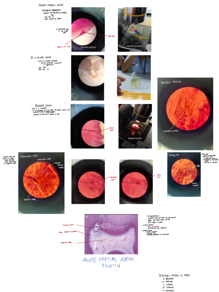 Opath 1 Lab | PDF