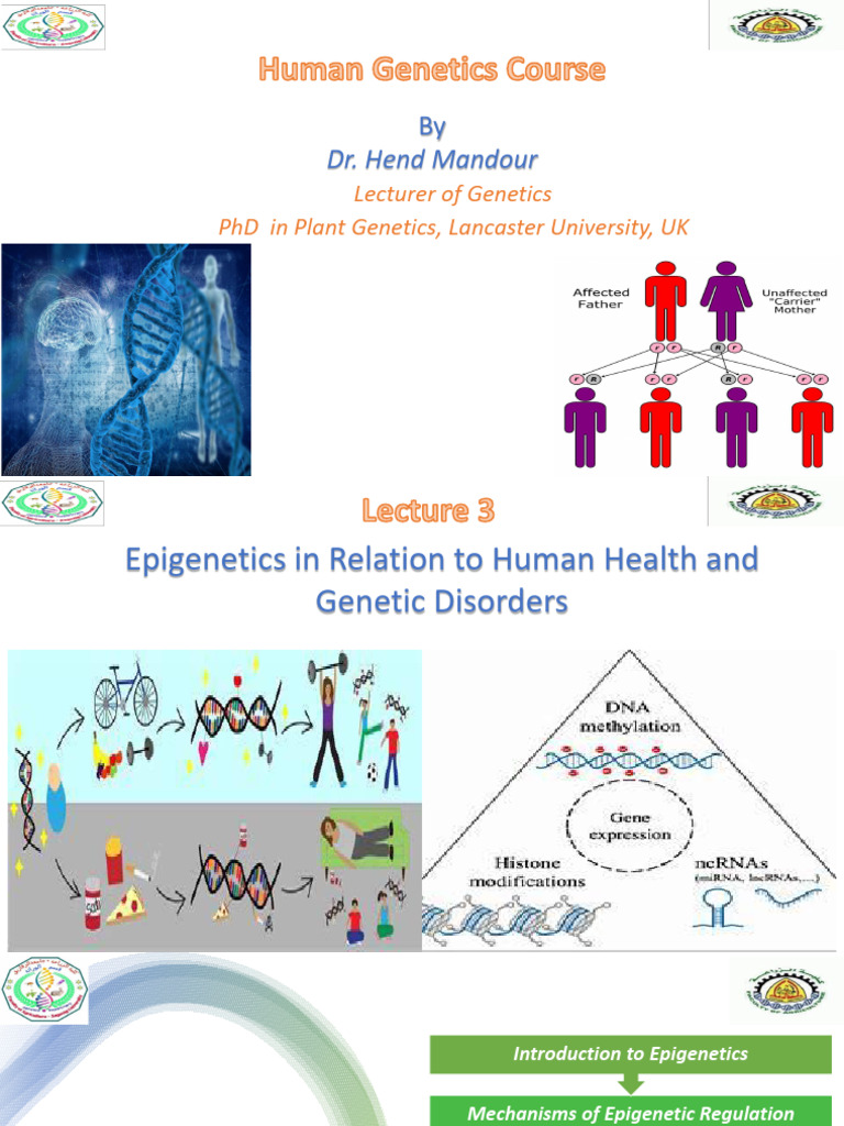 Epigenetics in Relation To Human Health and Genetic Disorders | PDF ...