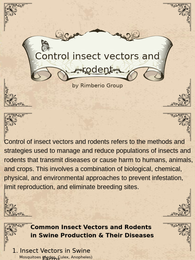 Control Insect Vectors and Rodent | PDF