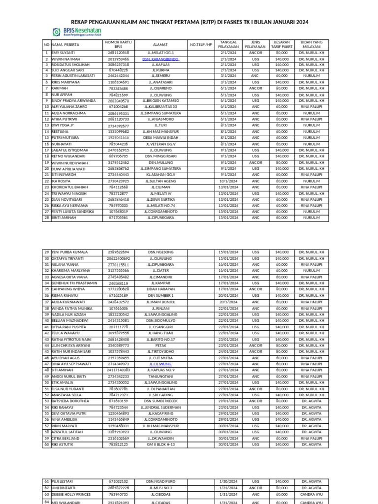 Rekap Klaim Bpjs Anc | PDF