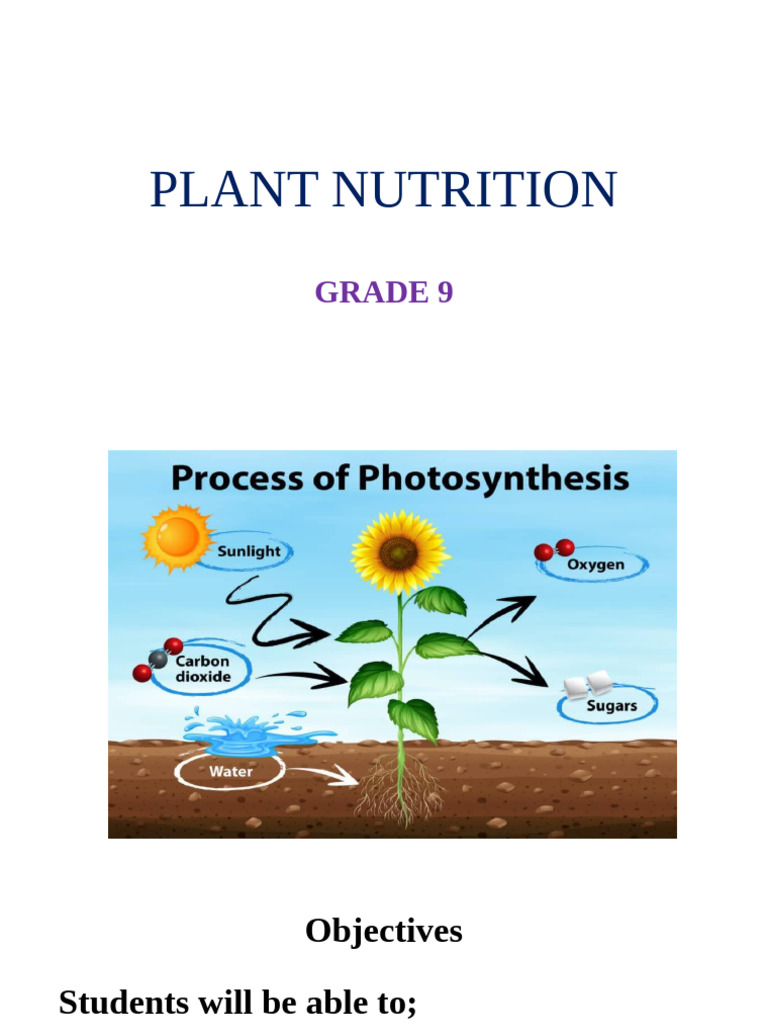 Chapter 6 Plant Nutrition | PDF | Photosynthesis | Leaf