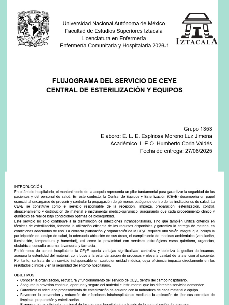 Flujograma Central de Esterilización CEyE | PDF | Infección adquirida ...