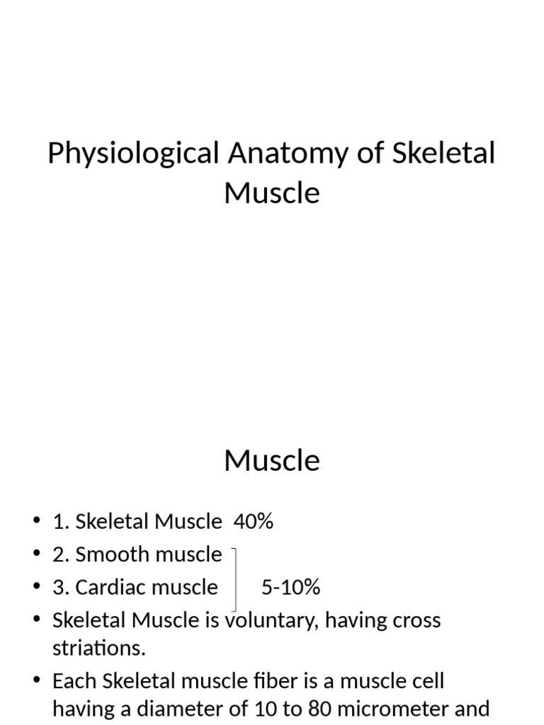 Anatomy and Function of Skeletal Muscle | PDF | Muscle Contraction ...