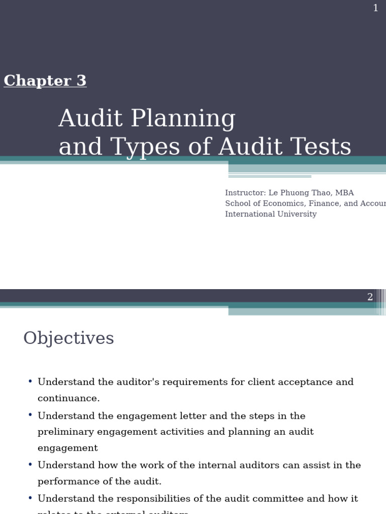Audit Planning and Test Types Overview | PDF | Internal Audit | Audit