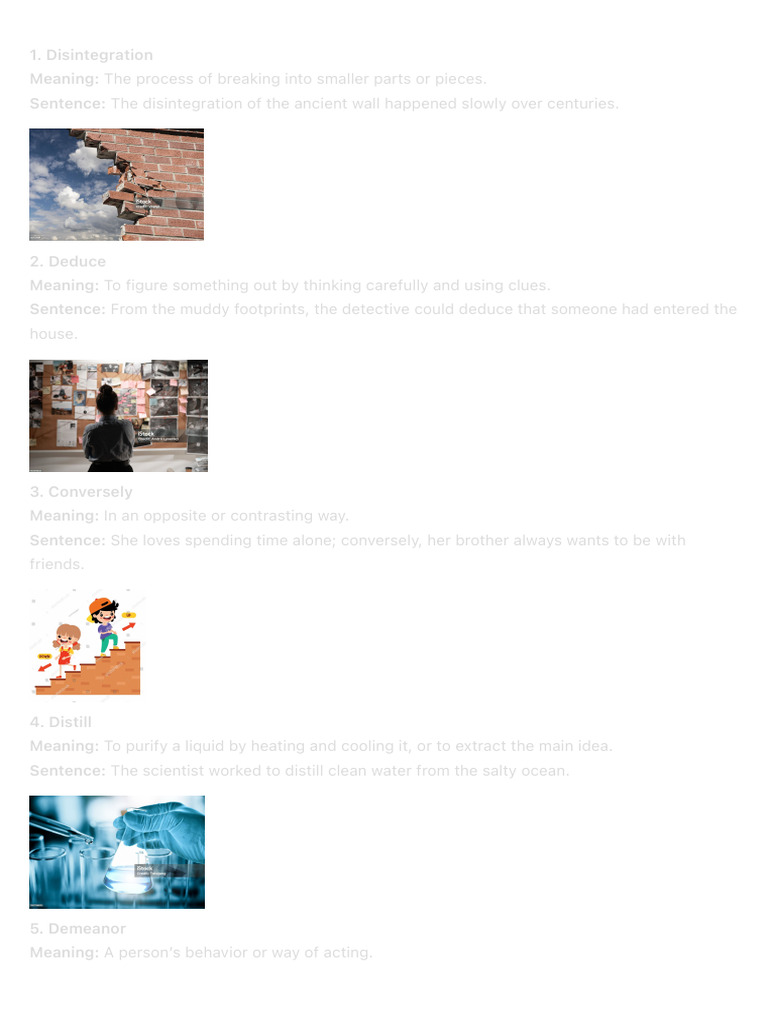 Vocabulary Definitions and Examples | PDF
