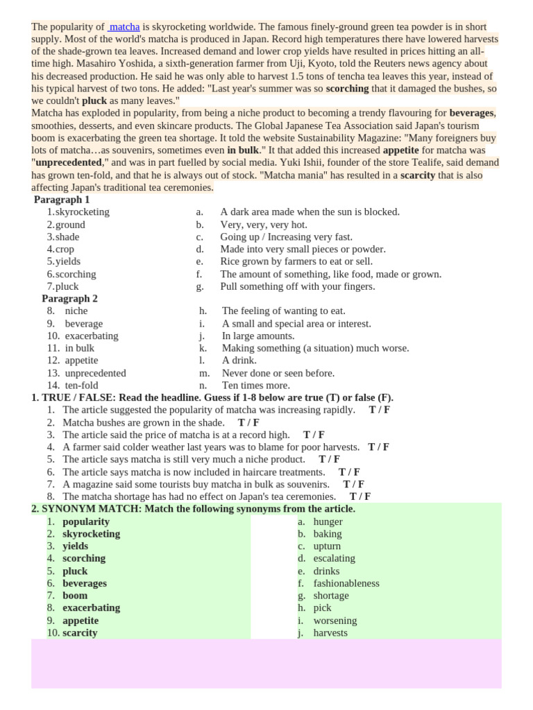 Matcha | PDF | Hot Drinks | Tea