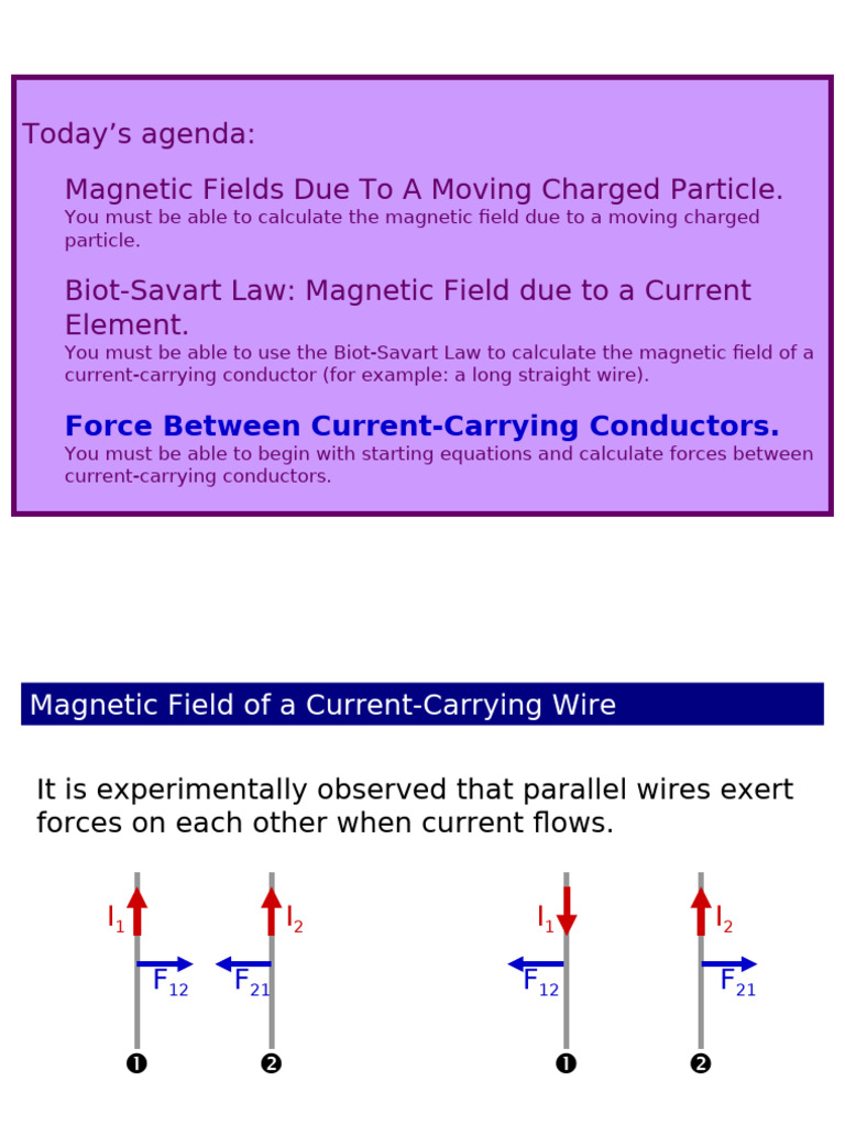 Magnetic Fields and Forces in Wires | PDF | Magnetic Field | Force