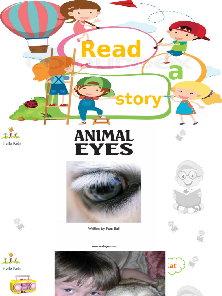 Animal Eyes | PDF