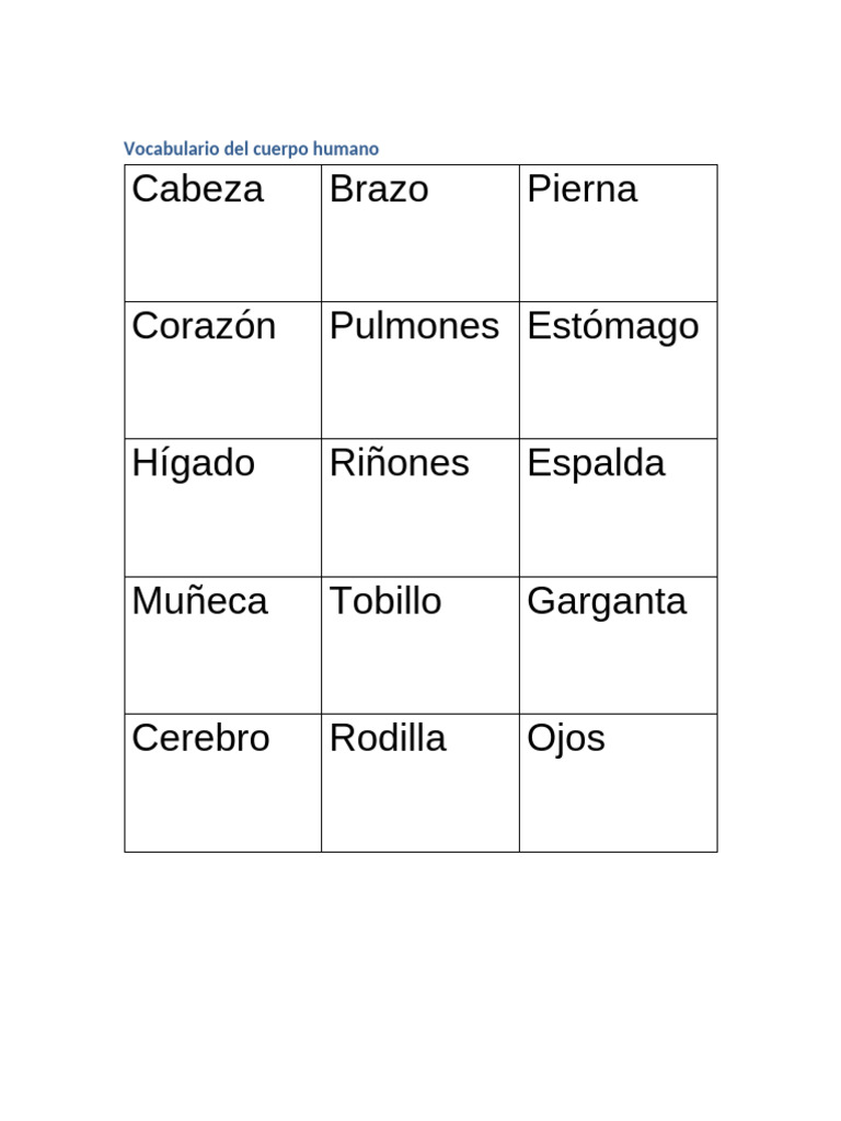 Vocabulario del Cuerpo Humano | PDF