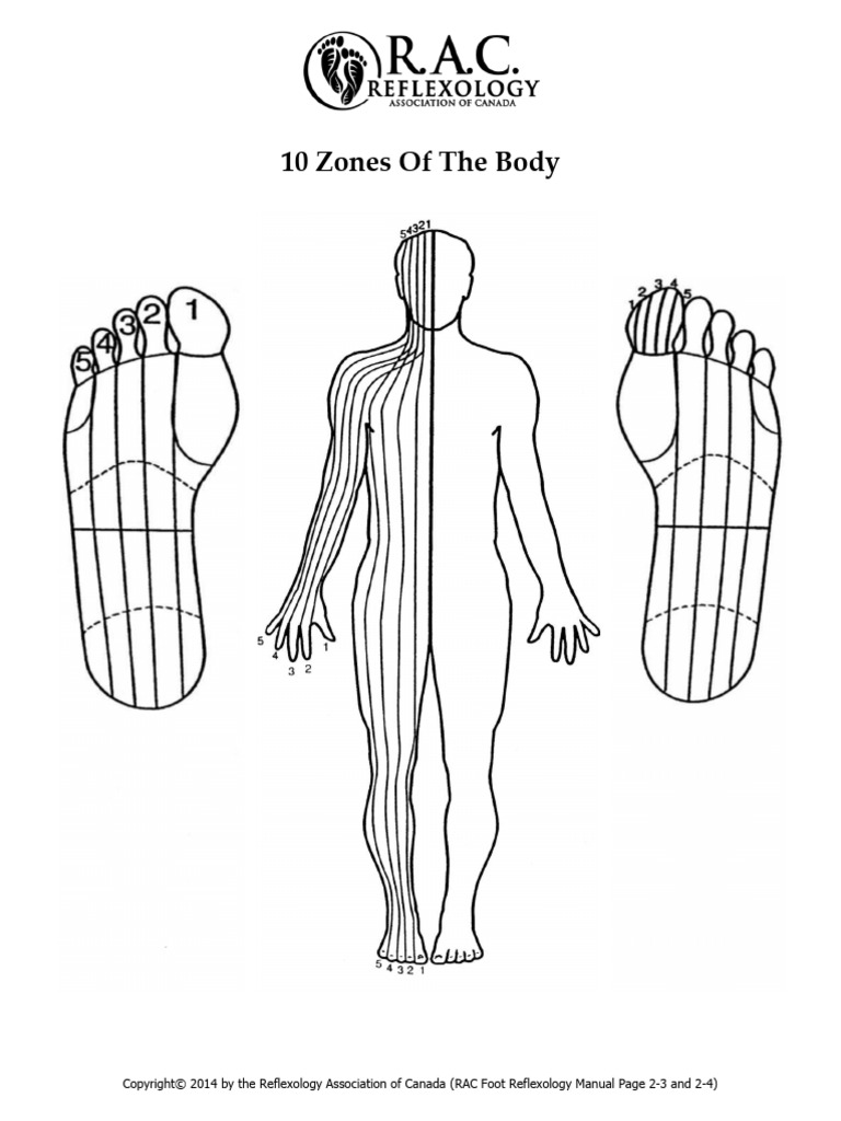 Chapter 2 - 10 Zones of The Body - HANDOUT | PDF