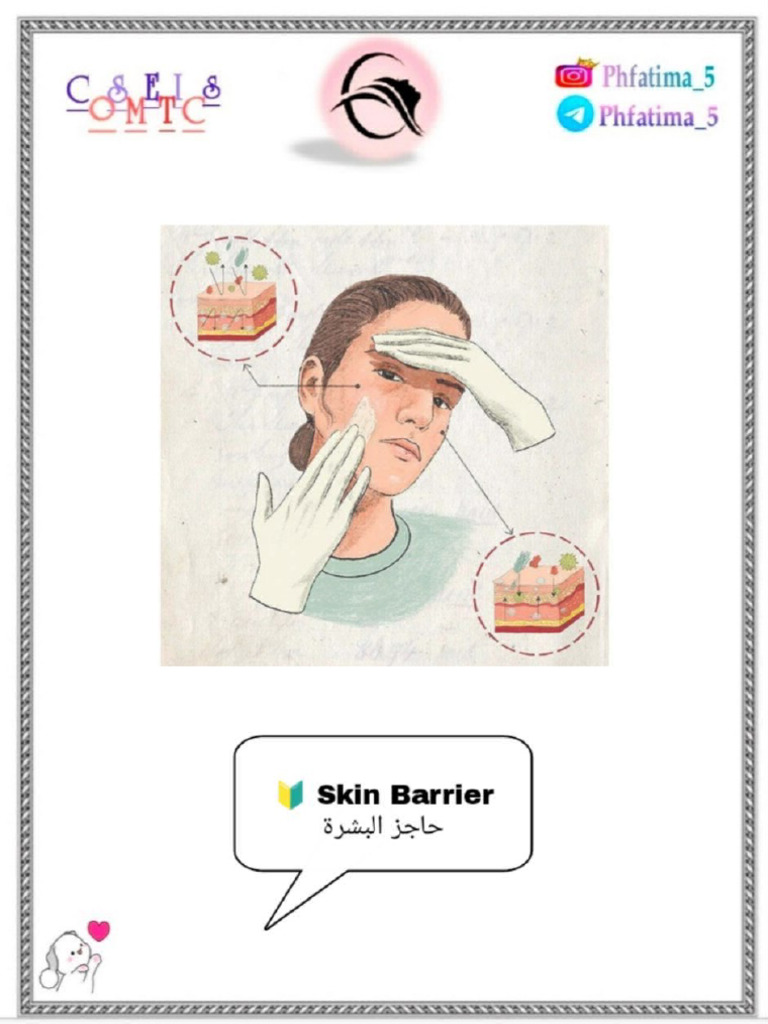 Skin Barrier | PDF