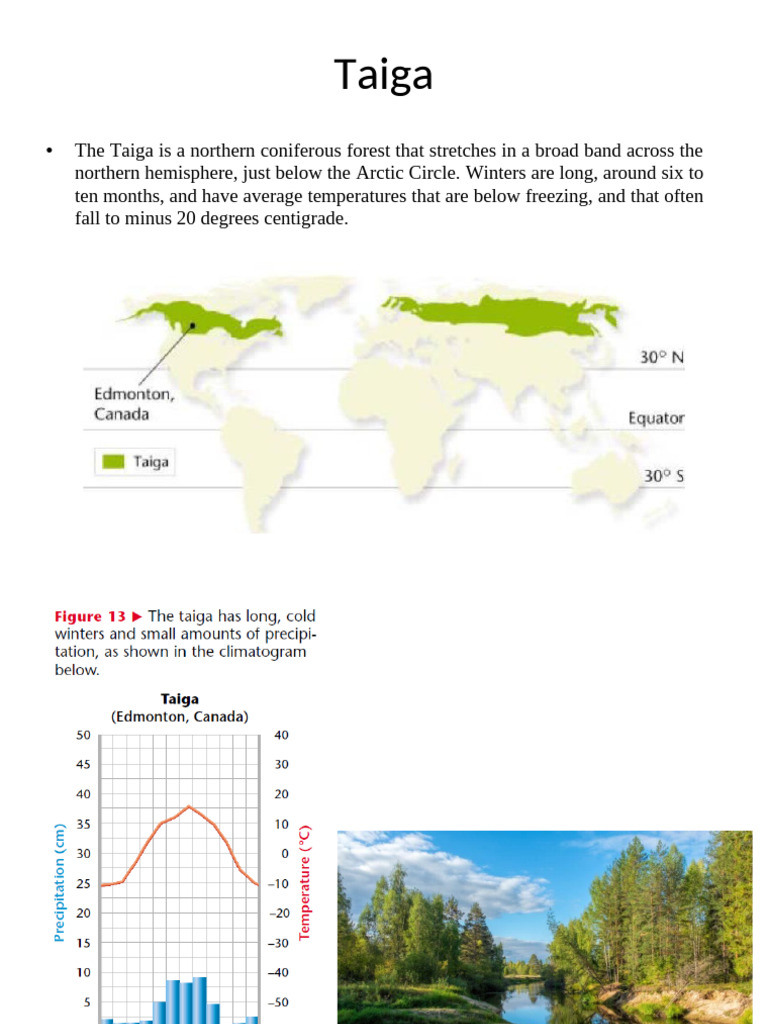 Taiga | PDF