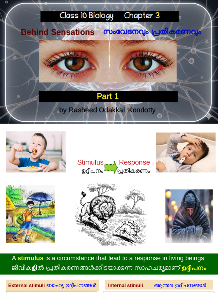 SLIDES (Part 1 of 3) - Class 10 Biology Chapter 3 - Rasheed Odakkal | PDF