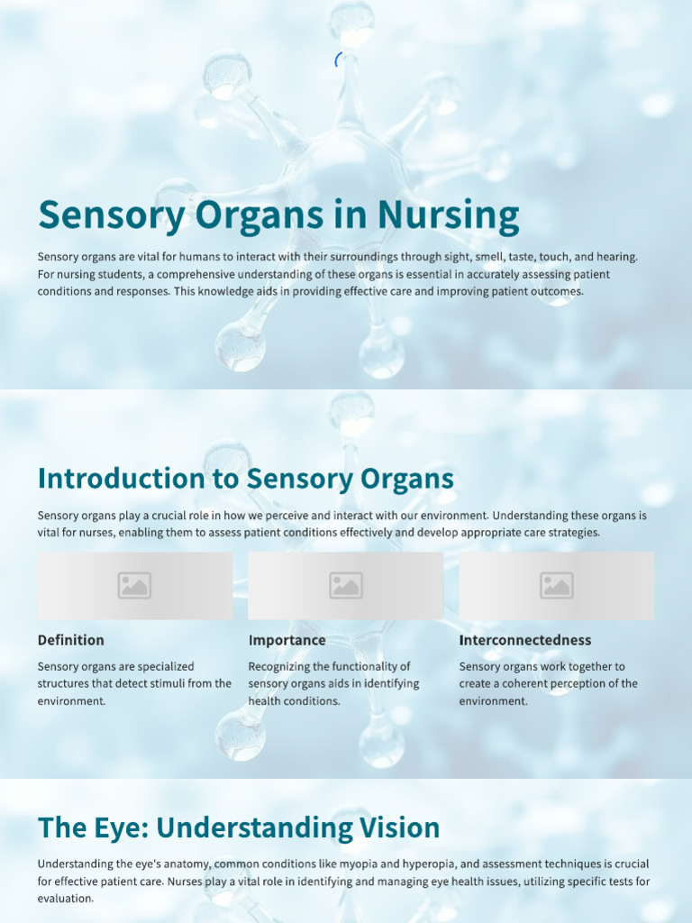 Understanding Sensory Organs in Nursing | PDF | Perception | Senses