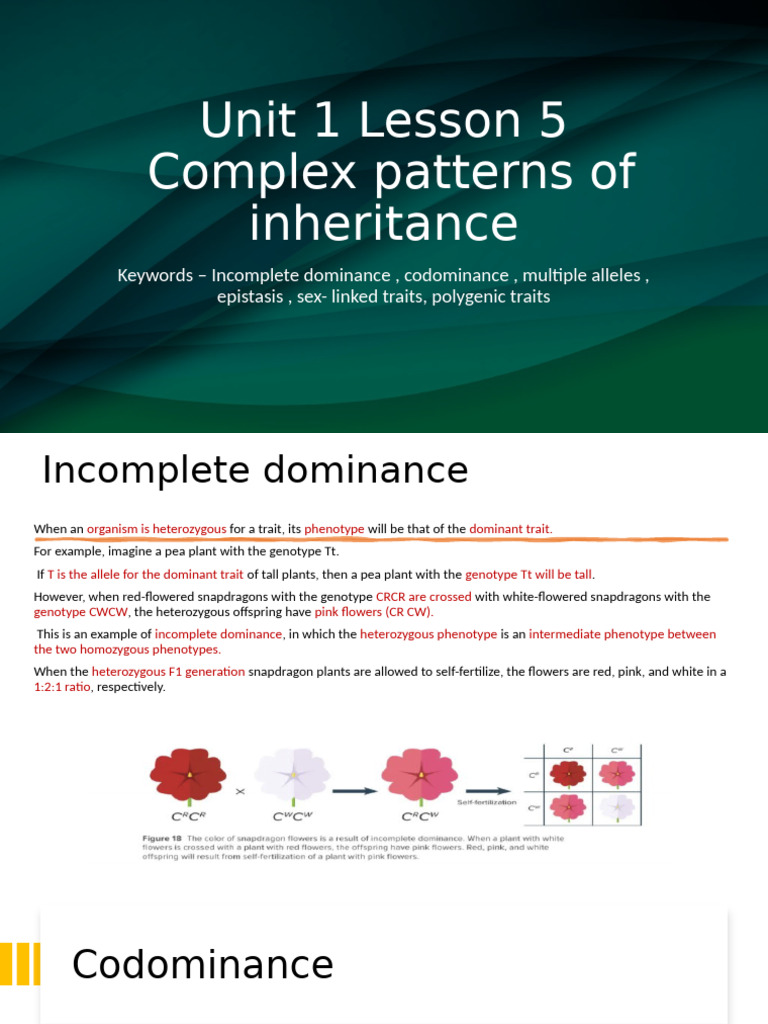 Complex Inheritance Patterns Explained | PDF | Dominance (Genetics ...