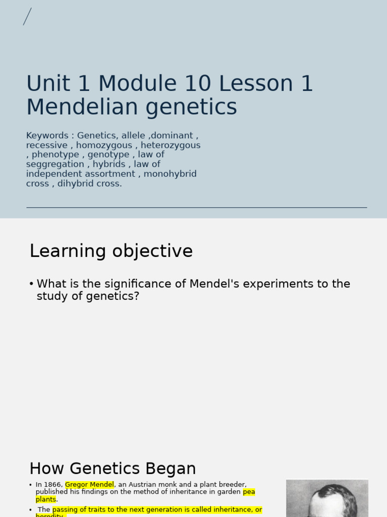 Unit 1 Lesson 1 Mendelian Genetics G12 AD | PDF | Dominance (Genetics ...
