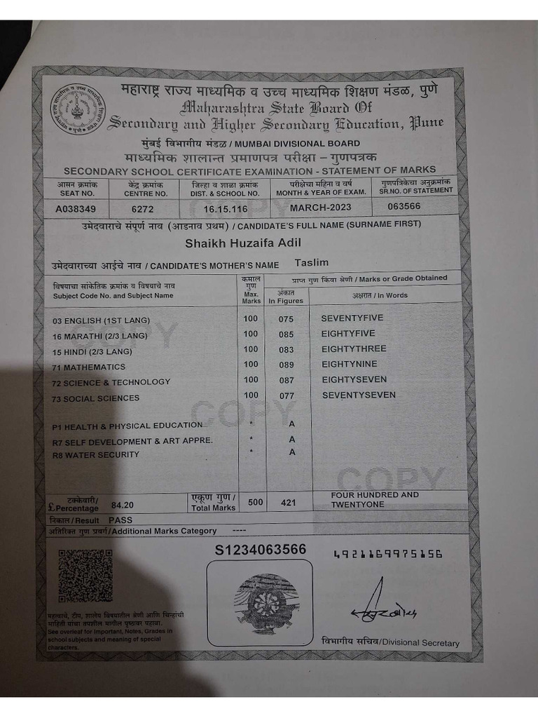 10 Marksheet | PDF