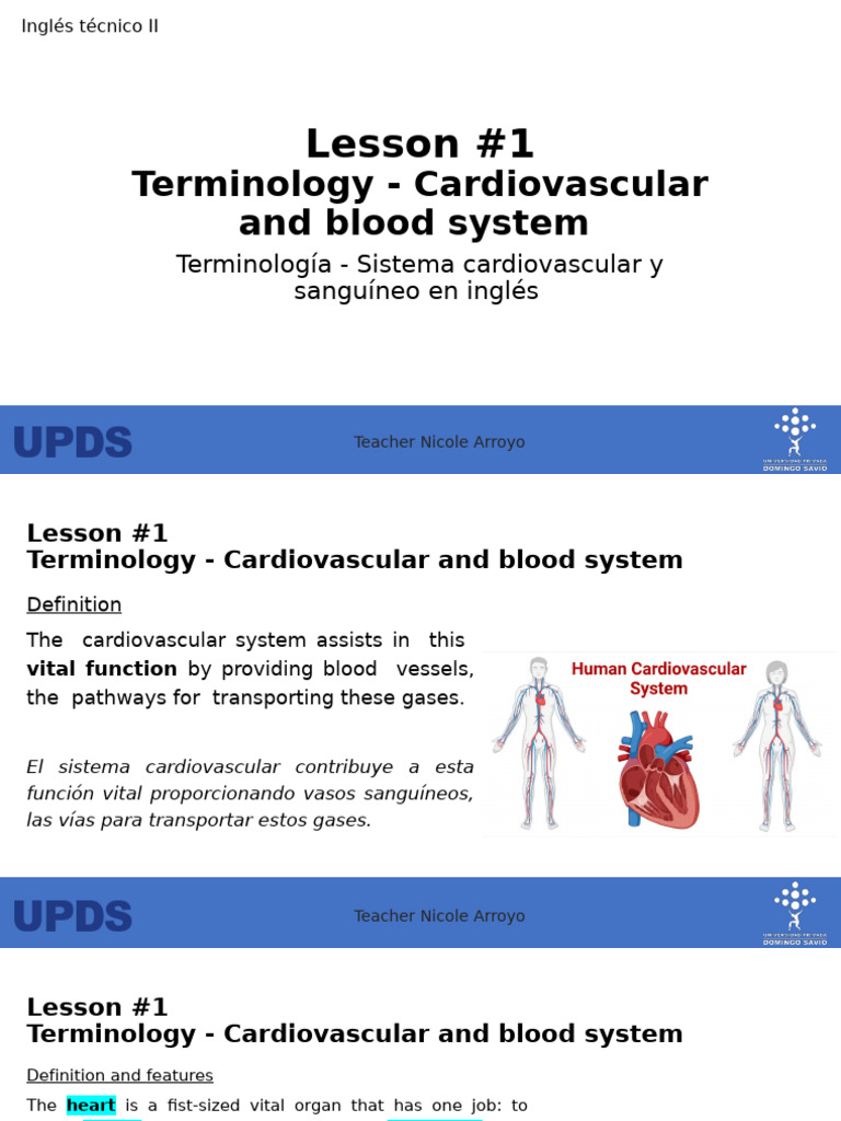 Terminology - Cardiovascular and Blood System | PDF | Carrera | Artería