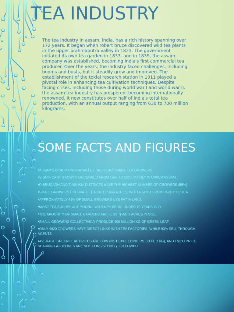 Tea Industry | PDF