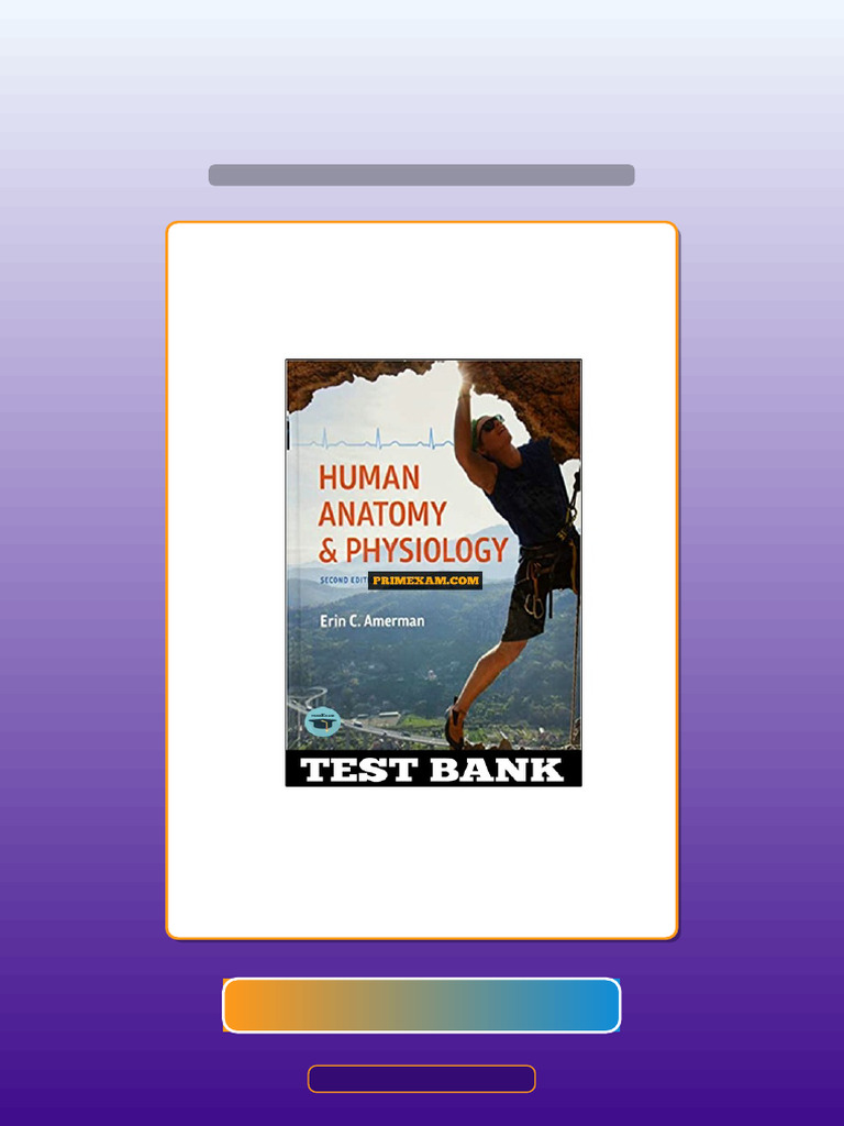 Human Anatomy and Physiology 2nd Edition Amerman Ebook and TestBank ...