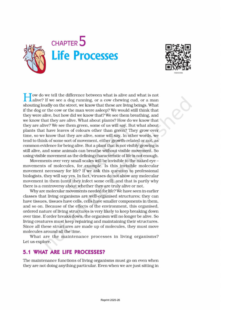 Life Processes | PDF