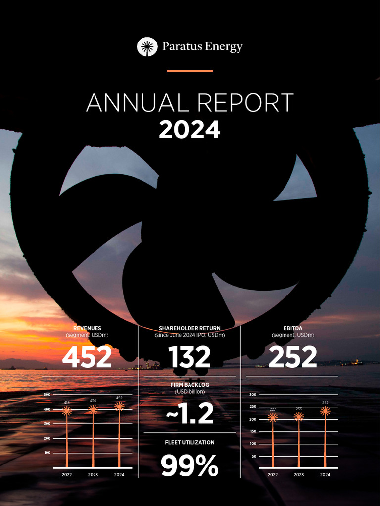 2024 Annual Report: Financial Highlights | PDF | Equity (Finance ...