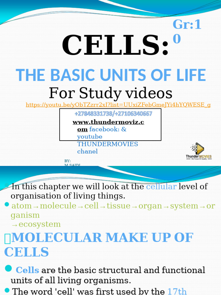 Grade 10 Life Science Cells The Basic Unit of Life Notes | PDF | Cell ...