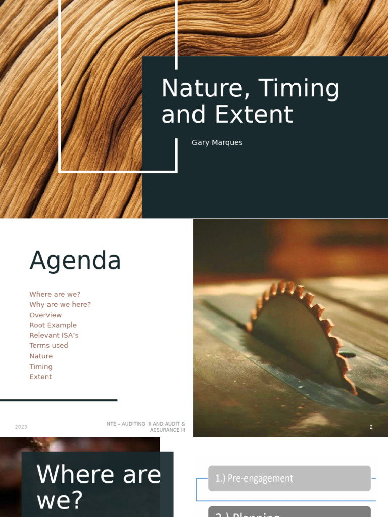 NTE in Audit: Nature, Timing, Extent | PDF | Audit | Business Economics