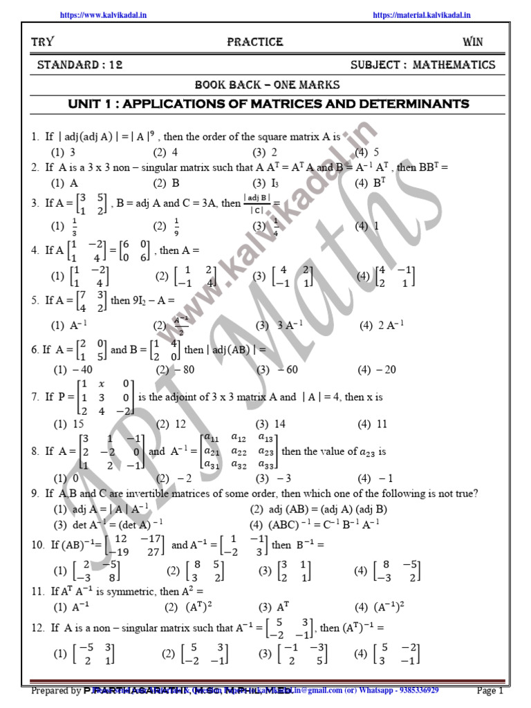 12th Grade Mathematics Matrix Practice | PDF | Zero Of A Function ...