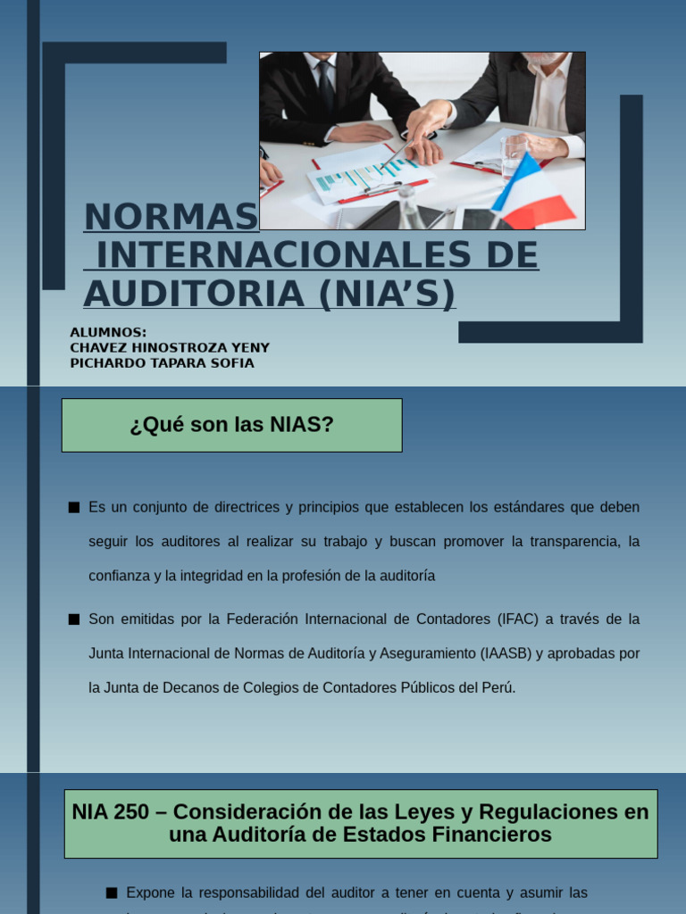 Nias (1) Ys | PDF | Auditoría | Contralor