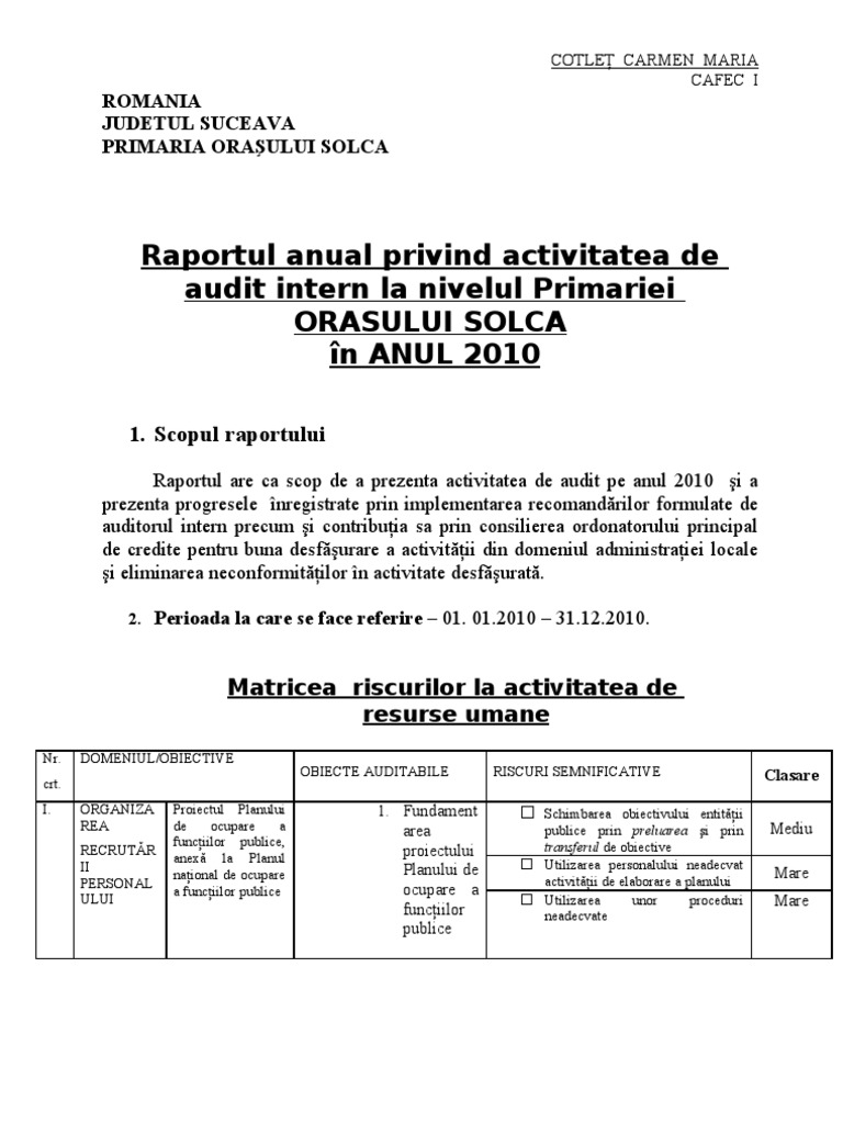 Matricea Riscurilor | PDF